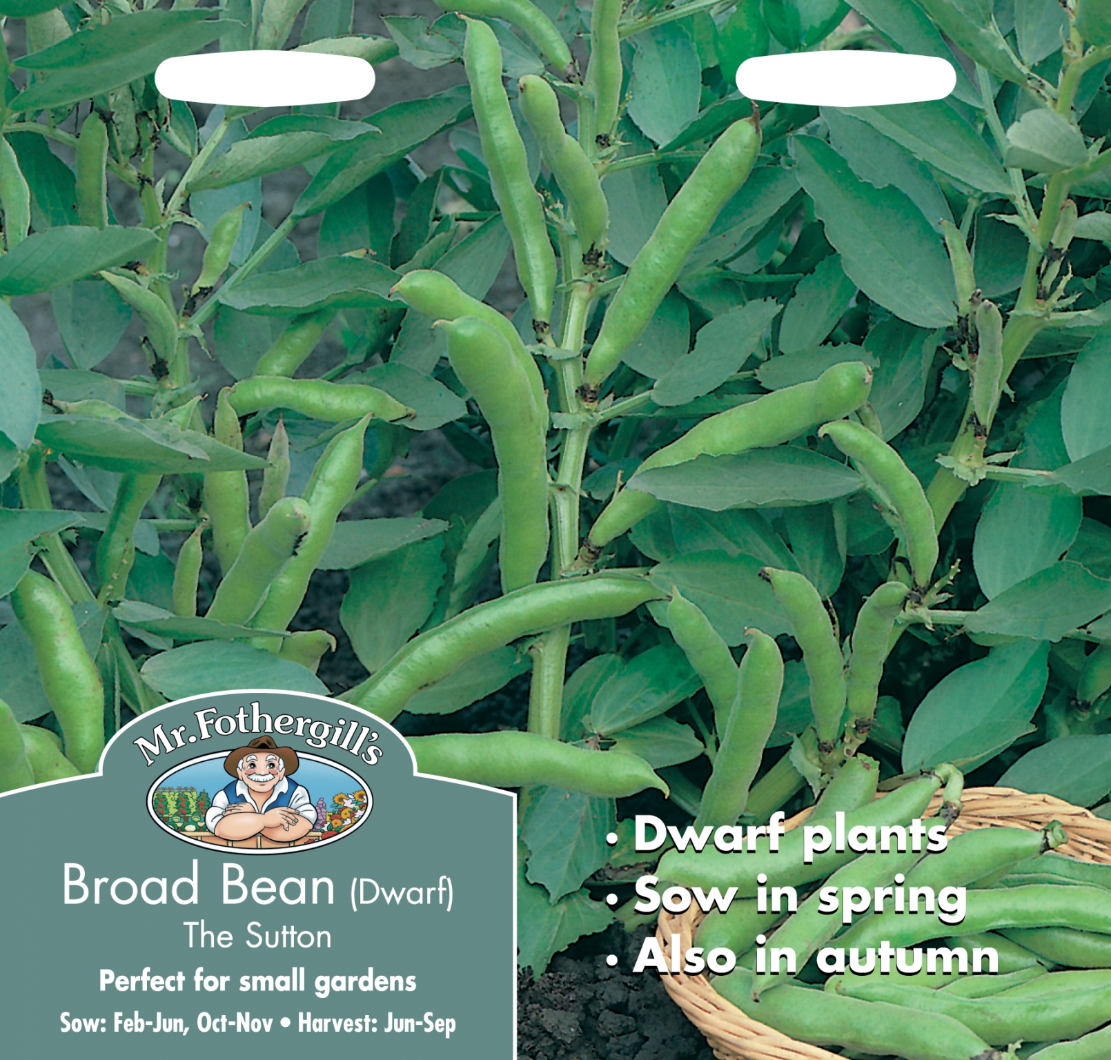 BROAD BEAN The Sutton (Dwarf) - Mackenzie Cruickshank Garden Centre webshop
